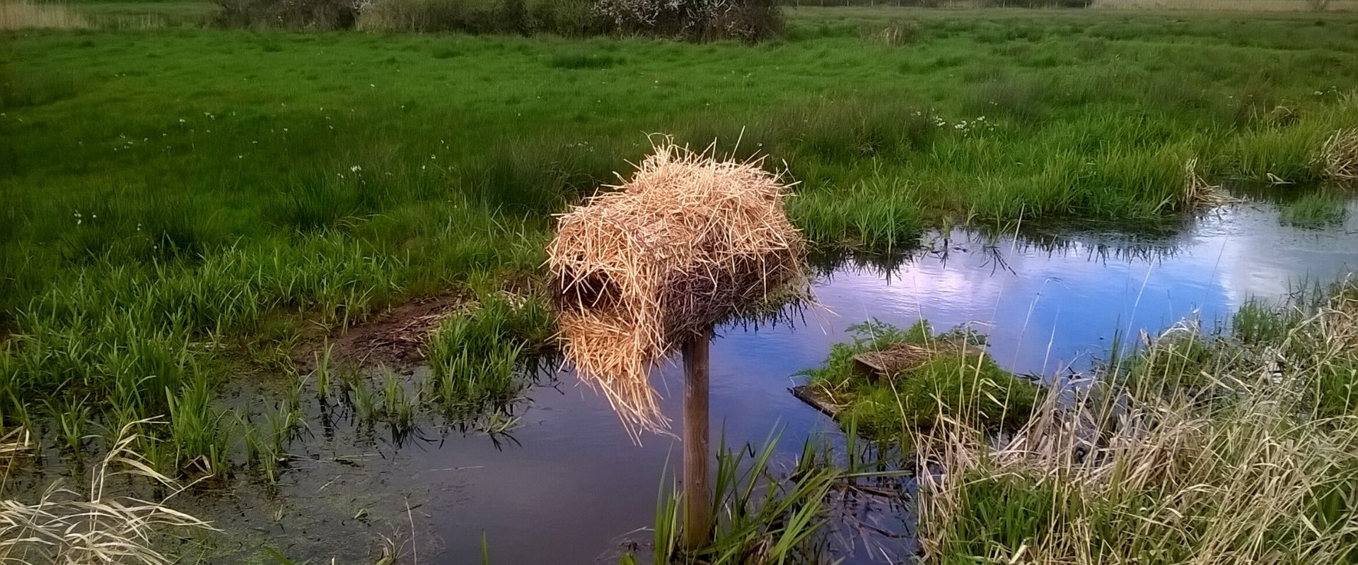 Duck Nest Monitoring Project - BASC
