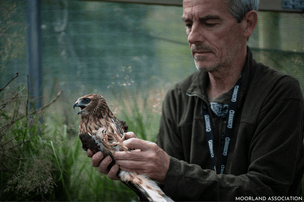 Home - The British Association for Shooting and Conservation