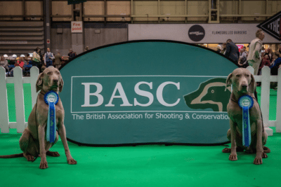 BASC at CRUFTS - The British Association for Shooting and Conservation