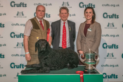Gundogs - The British Association for Shooting and Conservation