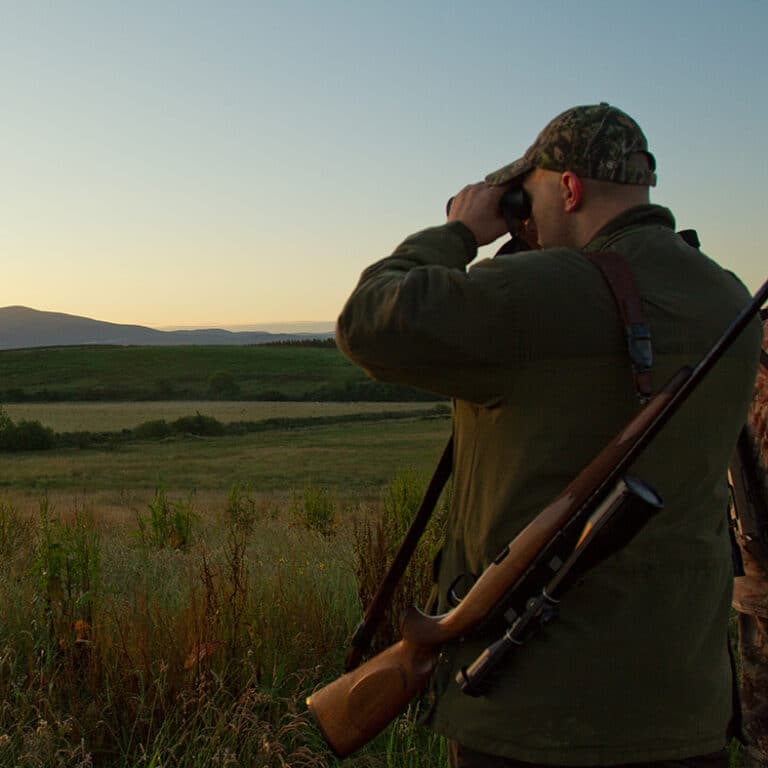 Stalking schemes - BASC