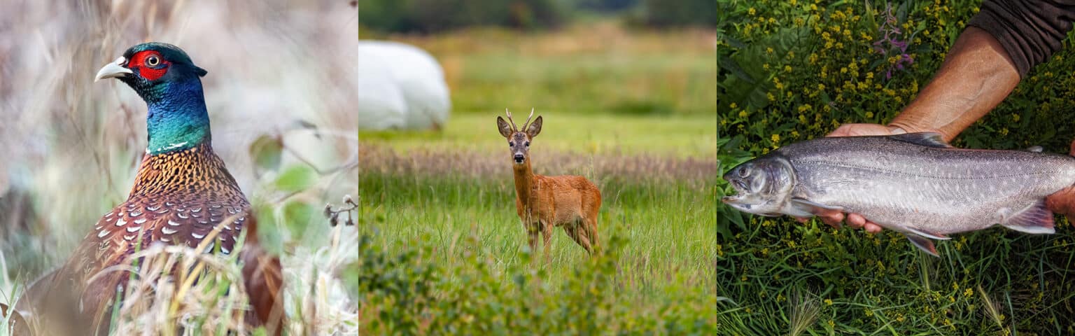 BASC Poaching of Game, Deer, and Fish Booklet - BASC
