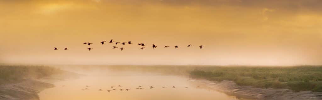 Shooting seasons - BASC