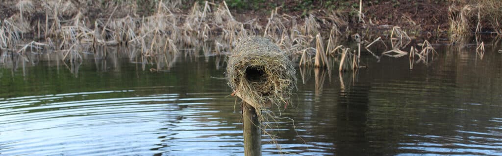 Duck nest monitoring project - BASC