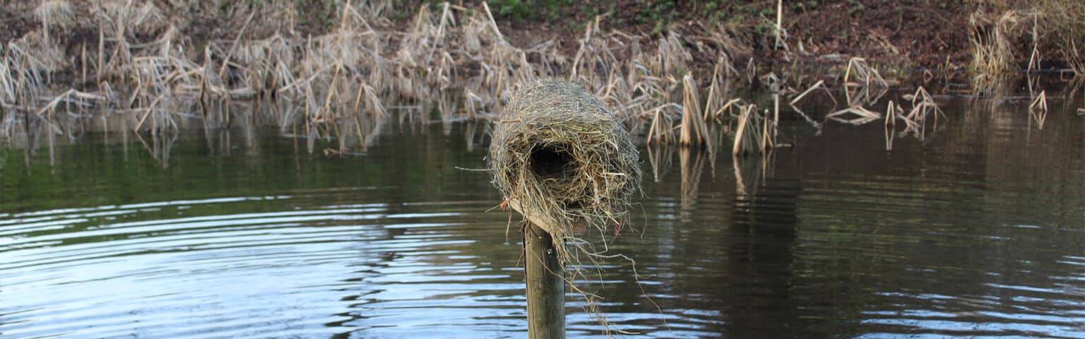 Duck nest tubes monitoring - BASC