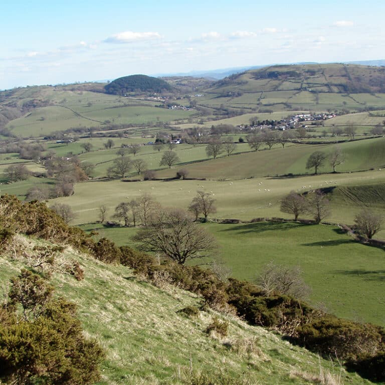 Rural land management - BASC