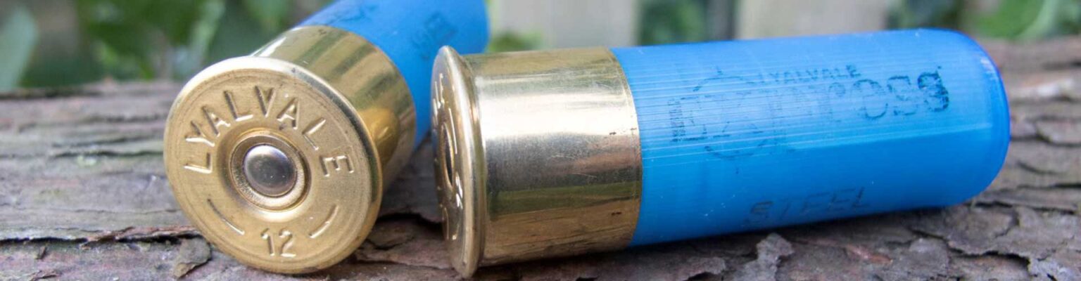 The appeal of steel - BASC