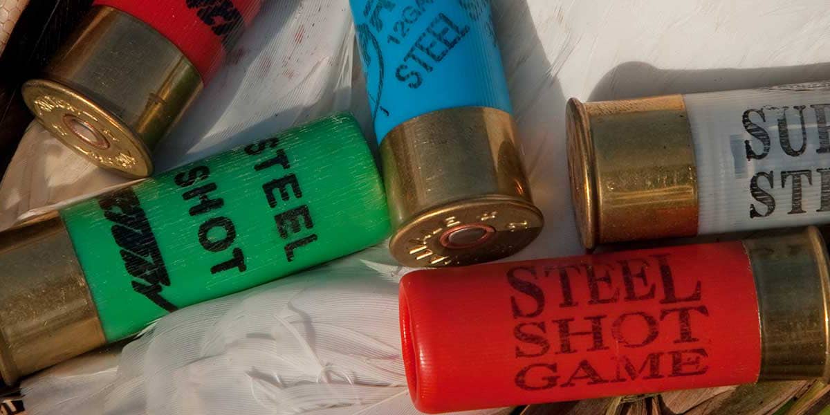 The appeal of steel - BASC