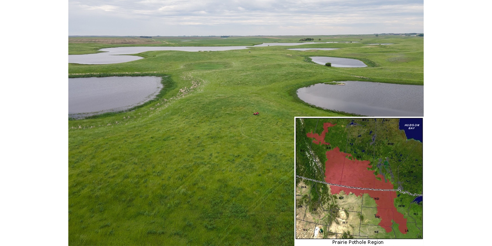 Ducks Unlimited - A conservation success story over the pond