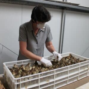 Poultry registration form guidance - BASC