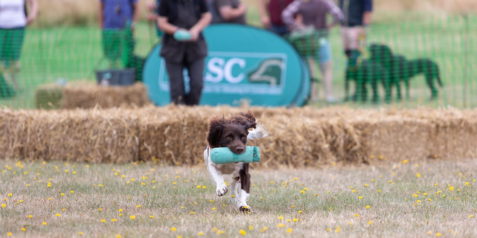 BASC at The Game Fair