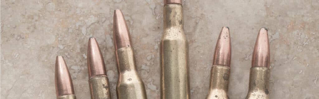 Calibres, cartridges and quarry: advice for firearms enquiry officers ...