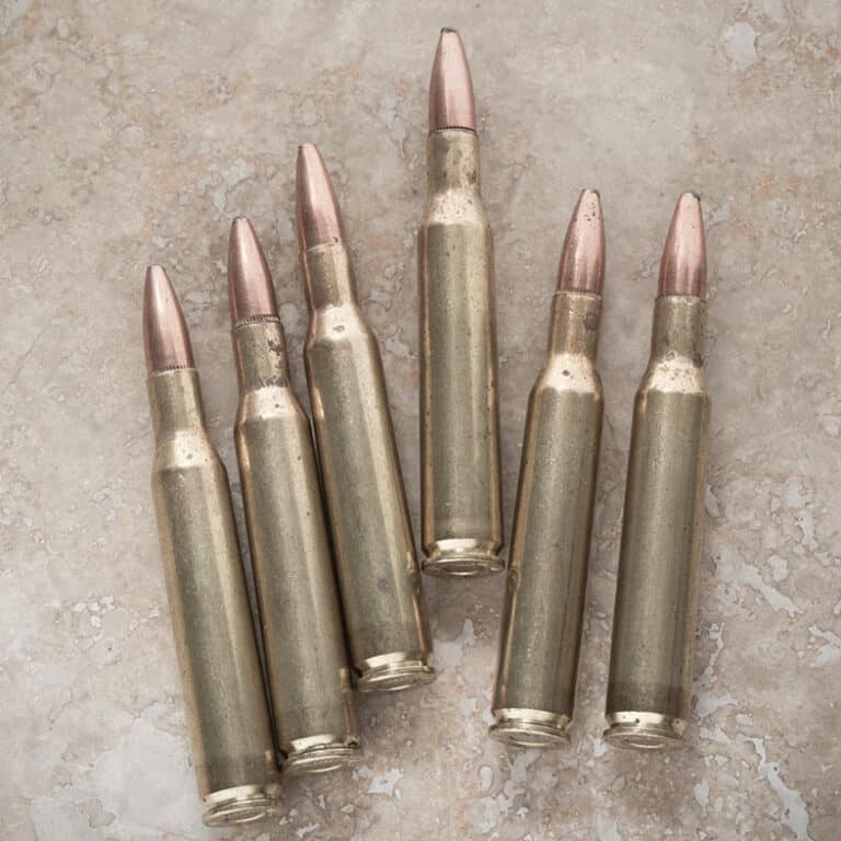 Calibres, cartridges and quarry: advice for firearms enquiry officers ...