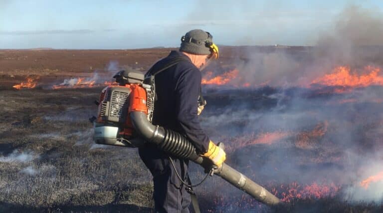 The truth about controlled burning - BASC