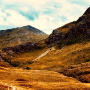 Shooting – rights of way and access (Scotland) - BASC