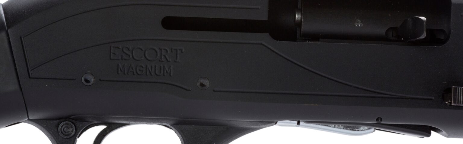 Shooting sports: Practical Shotgun - BASC