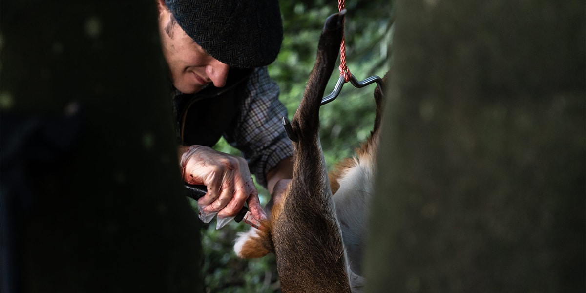 Deer carcass handling - Tips and tricks from BASC staff