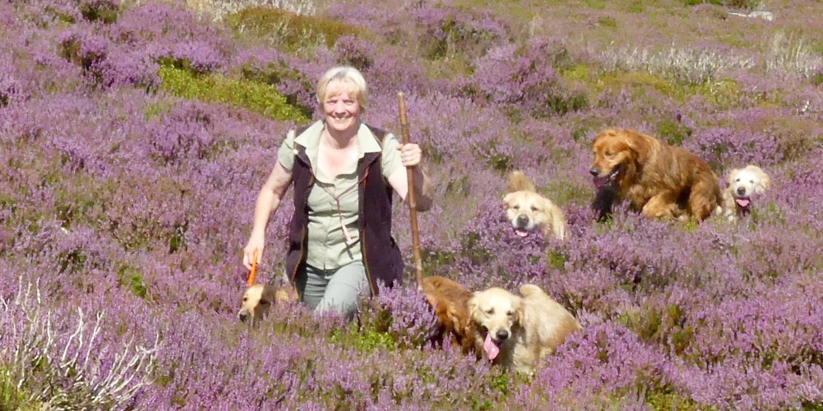 Crufts 2025: meet the judges - BASC