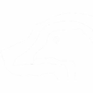 Shotgun and rifle insurance - BASC