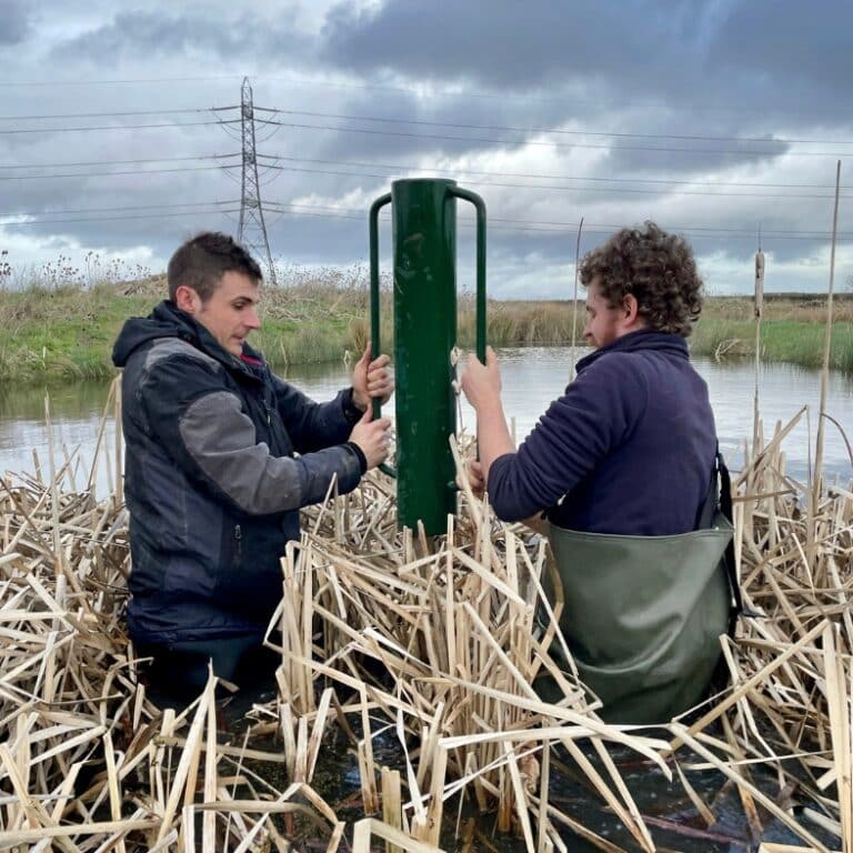 BBWA put up duck nest tubes to support mallards