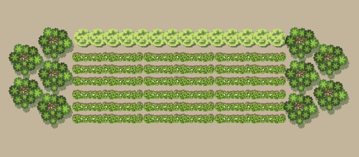 Going undercover - BASC