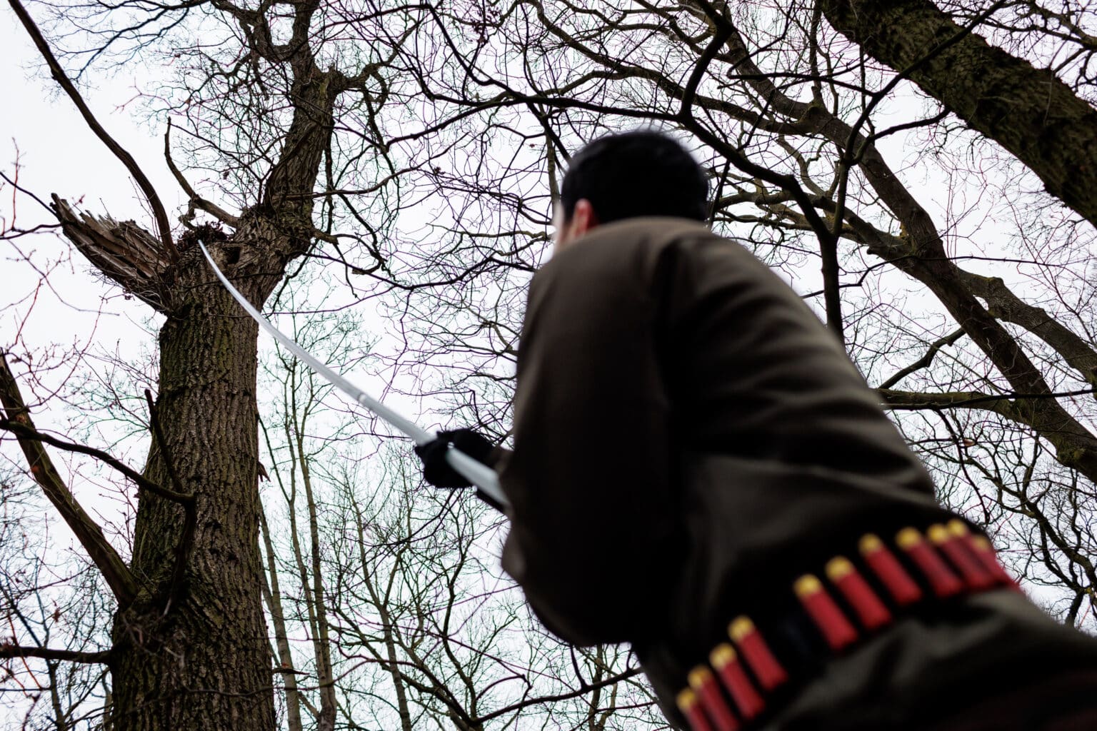 Quietly does it - Controlling grey squirrels