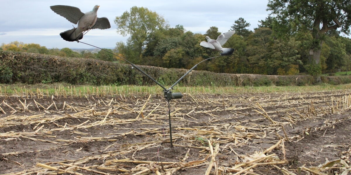 The art of pigeon shooting - BASC