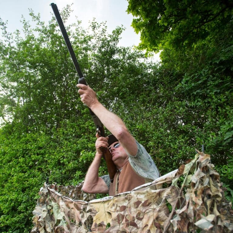 The art of pigeon shooting - BASC