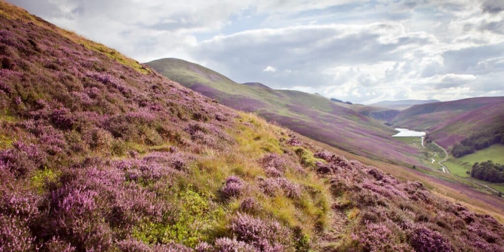 Transparency required on expanded SSPCA powers - BASC