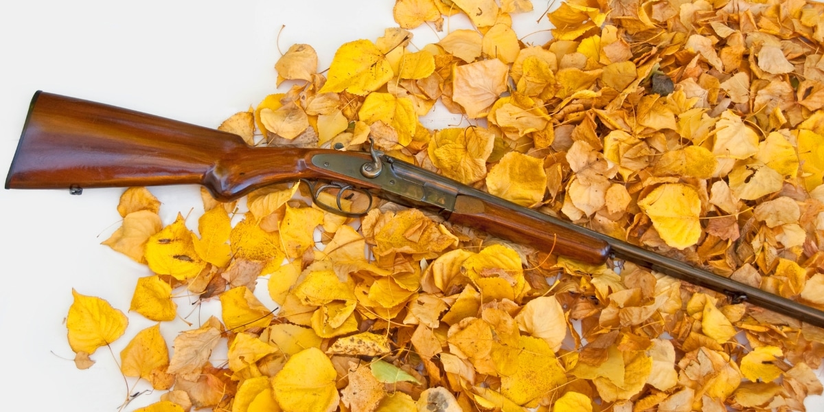 The .410 – world’s smallest shotgun calibre - BASC