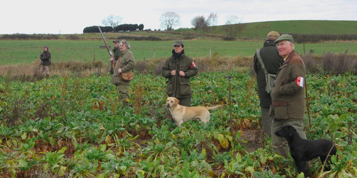 Field trials uncovered - BASC